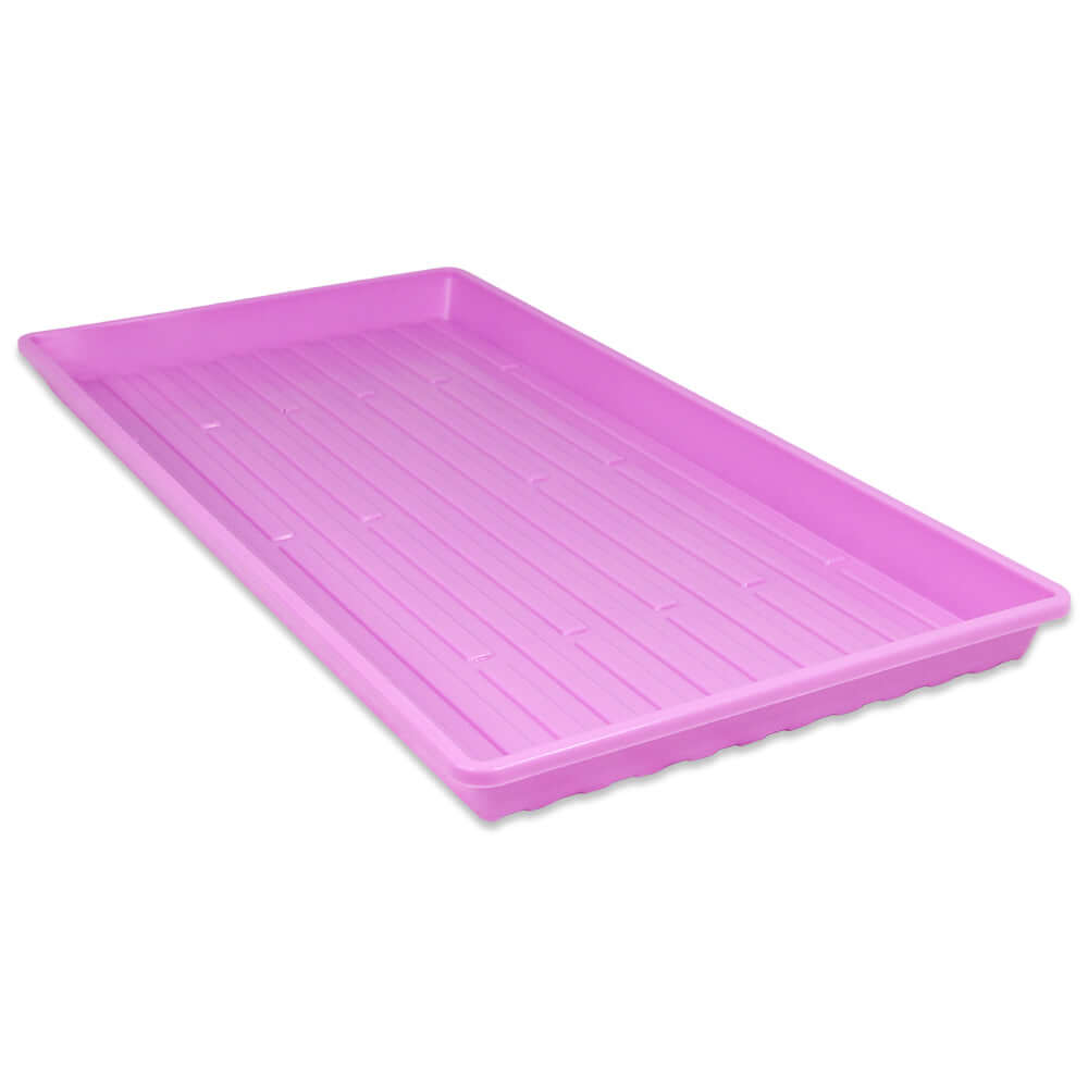 Active Grow 1020 Heavy Duty Microgreen Trays - Shallow No Holes - Purp