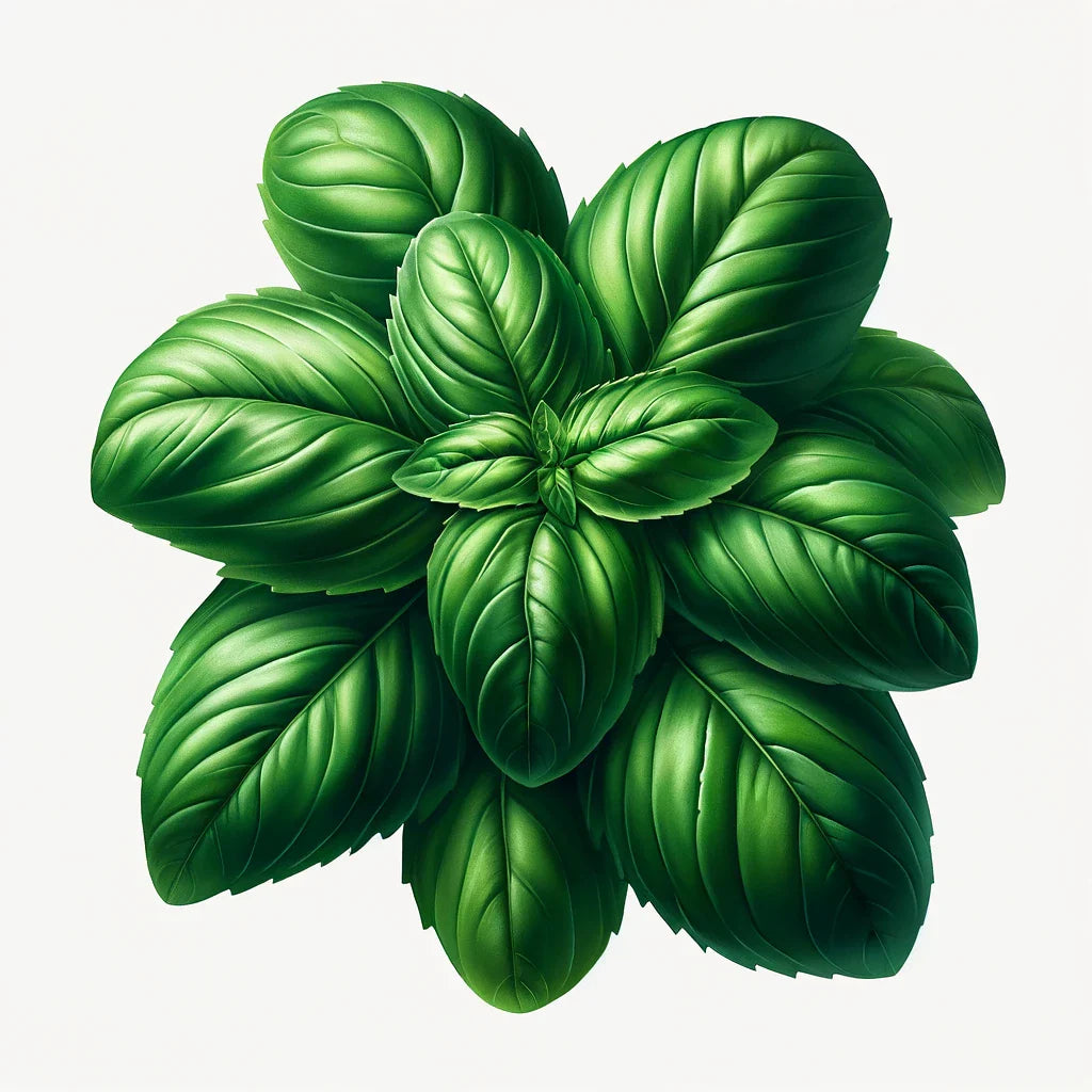 Aquager Technologies Basil (Genovese (Aroma 2)) (4x)