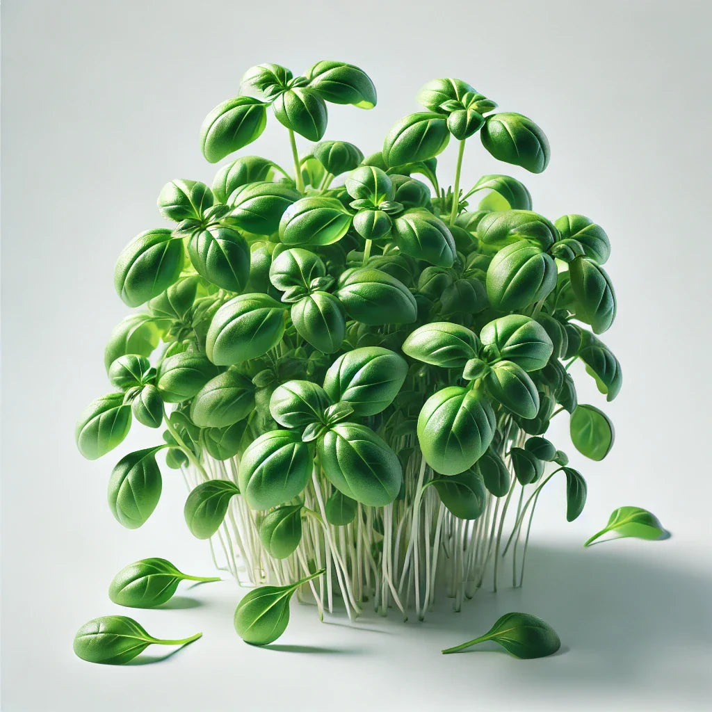 Aquager Technologies Basil (Genovese)