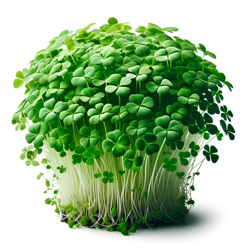 Aquager Technologies Clover