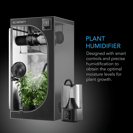 AC Infinity CLOUDFORGE T3 Plant Humidifier