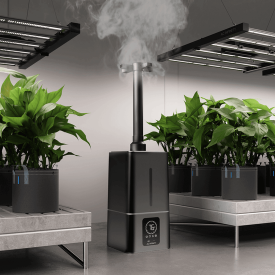 Optimal Growth with CLOUDFORGE T7 Humidifier