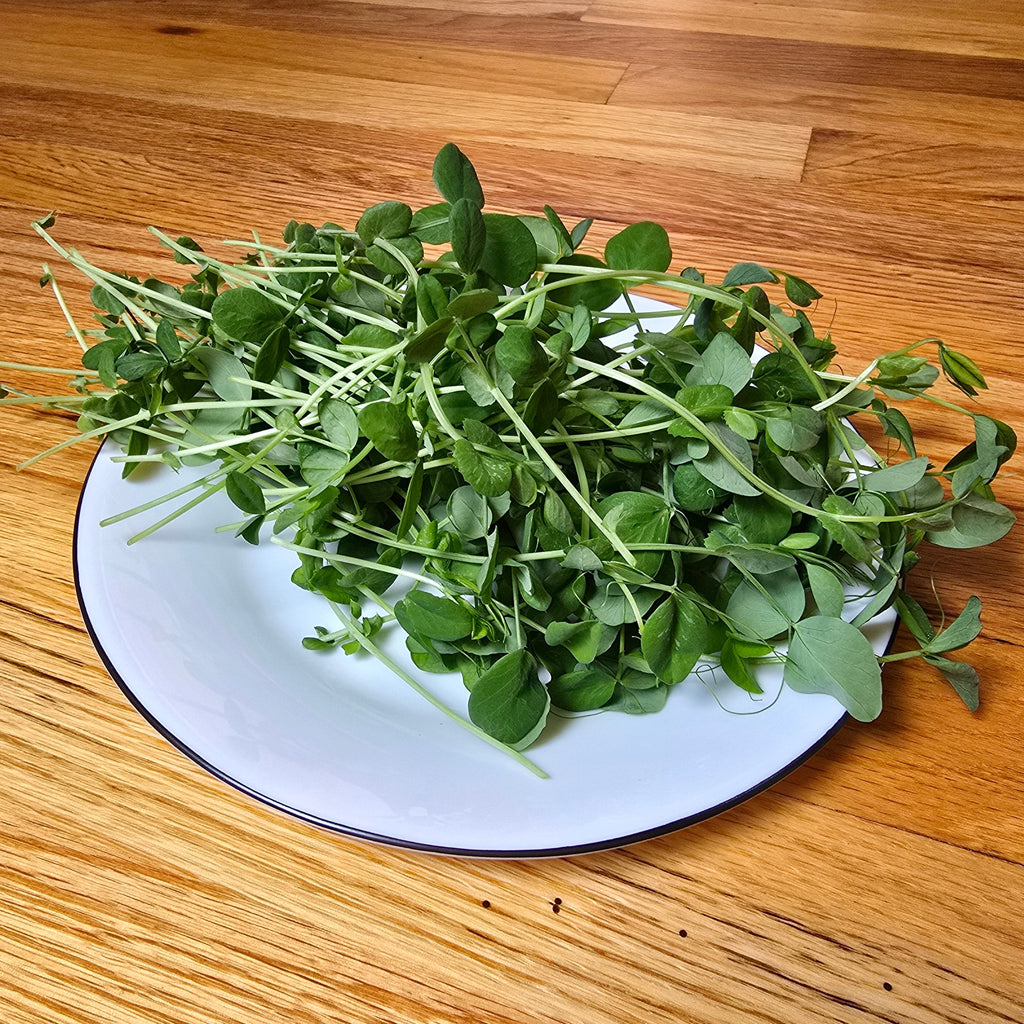Aquager Technologies Pea Shoots (Field)